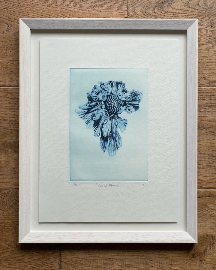 Our Members | Society of Scottish Artists